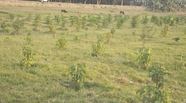 West Bengal Forest & Biodiversity Conservation Society